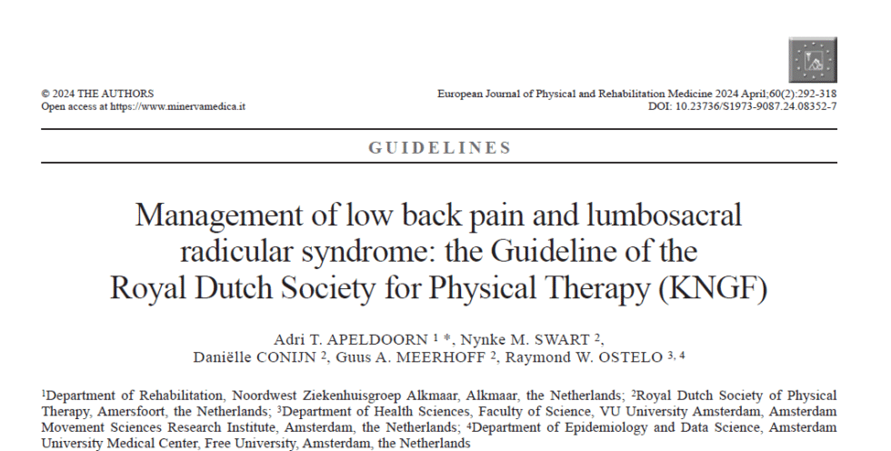 10 Guías De Práctica Clínica En Dolor Lumbar [2025] | RehBody